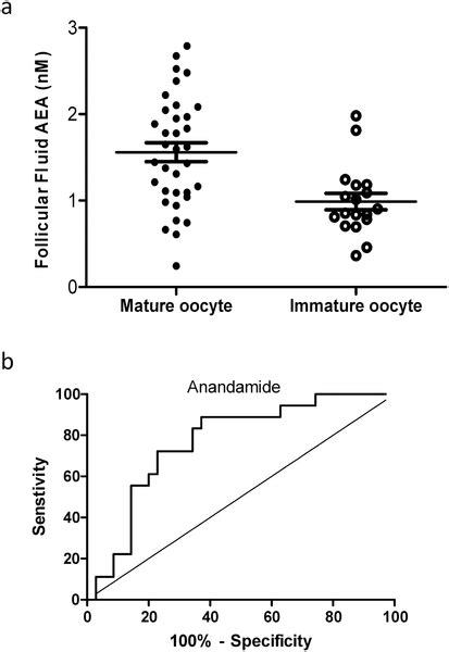 Theca Cells Plos One