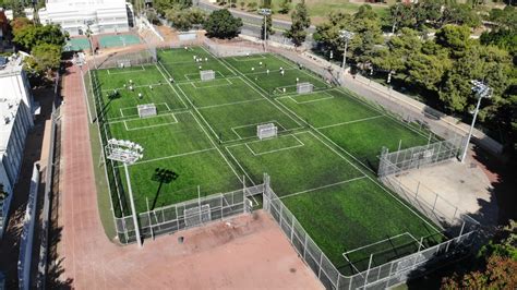 דשא סינטטי במבצע של חברת גרין ספורט דשא סינטטי איכותי עם 8 שנות אחריות