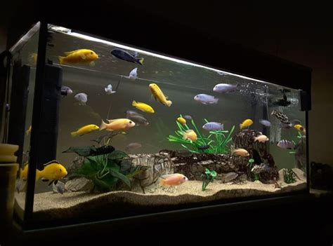 Aquatic Warehouse San Diego Ca