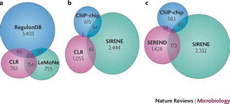 the low overlap of the predictions made by different network inference