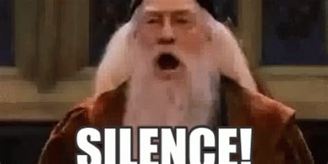  De Silence De Dumbledore