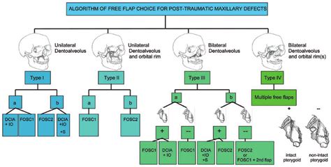 Maxillary Defect Management Algorithm From Rodriguez Ed Martin M Download Scientific Diagram