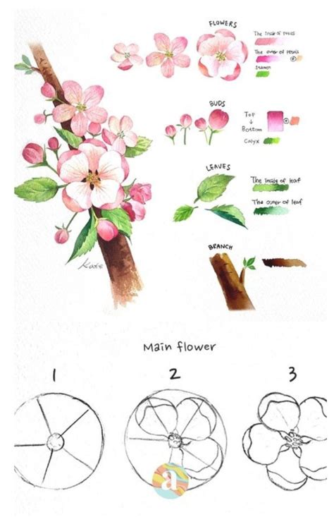 Pin By Ema On رسم Flower Drawing Tutorials Flower Drawing Watercolor Flower Art