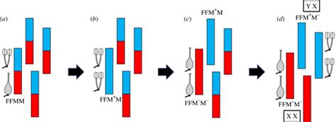 The Distribution Of Sexual Function In The Flowering Plant From