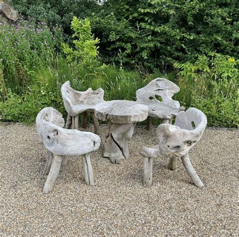 Large Silvered Teak Root Set