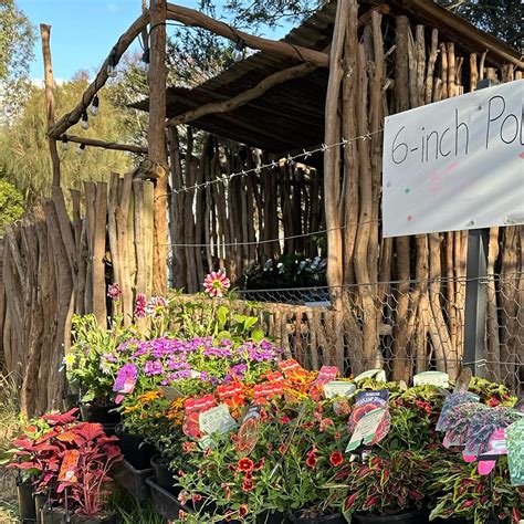 Ezzy Eggs And Co Ezzyeggsandco • Instagram Photos And Videos