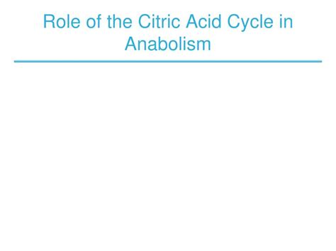 Ppt Chapter The Citric Acid Cycle Powerpoint Presentation Free Download Id