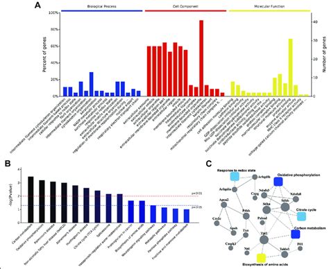Proteomics And Bioinformatics Analysis Of The Proteins Reversed By Rvs