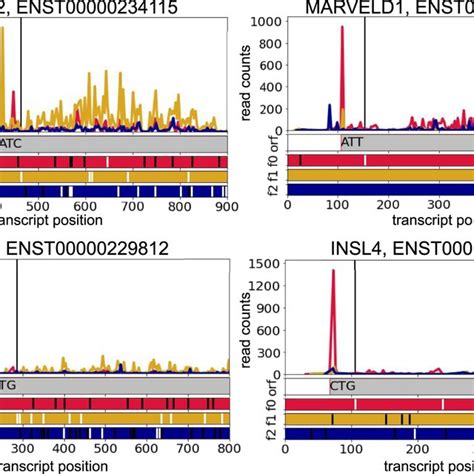 Subcodon Ribo Seq Profiles With The Densities Of Ribosome Footprints
