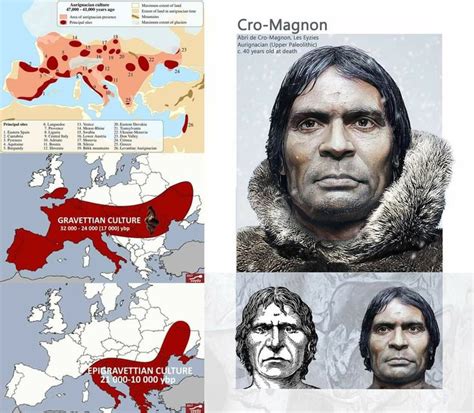 Pin By Bruno Mattos On History Early Humans History Prehistory