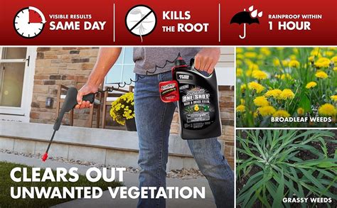 Spectracide One Shot Weed And Grass Killer With Accushot