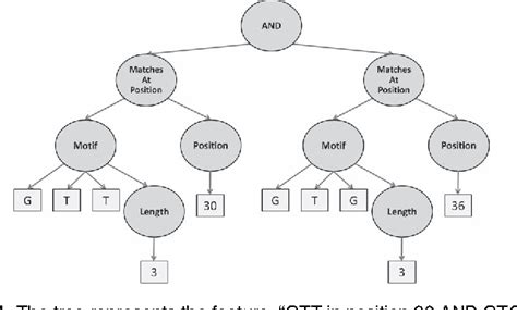 Figure 1 From An Evolutionary Algorithm Approach For Feature Generation From Sequence Data And