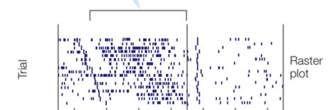 CH Methods Of Cognitive Neuroscience Methods To Measure Neural Activity Karteikarten Quizlet
