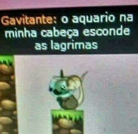 The Best Transformice Memes Memedroid