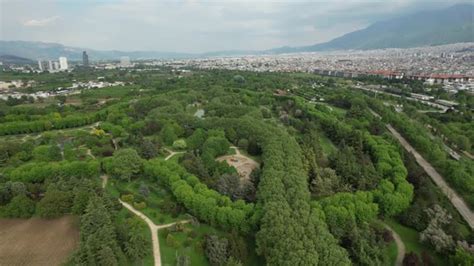 Bursa Botanical Park Stock Footage Videohive