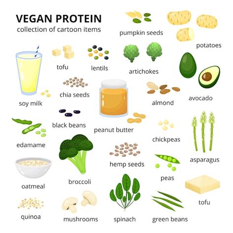 Premium Vector Set Of Vegan Protein Sources In Cartoon Style Isolated