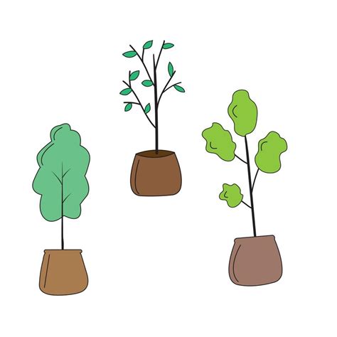 Vector Set Of Three Tree Seedlings 7523634 Vector Art At Vecteezy