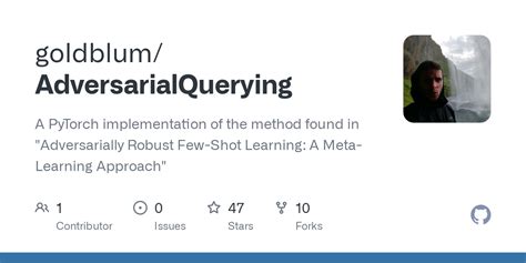 GitHub Goldblum AdversarialQuerying A PyTorch Implementation Of The Method Found In