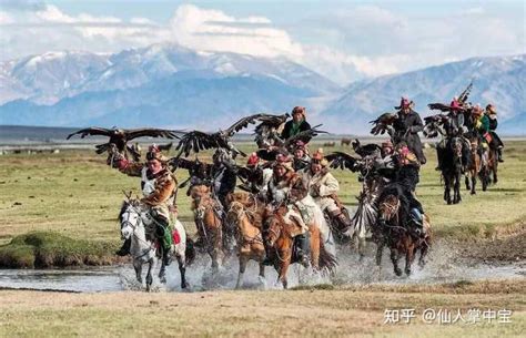 为什么牛要穿鼻子，而不是和马一样用笼头呢？ 知乎