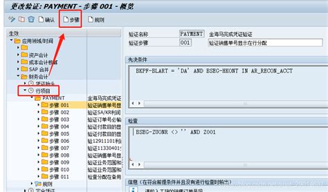 sap财务凭证校验和替换 sap会计凭证替代 csdn博客