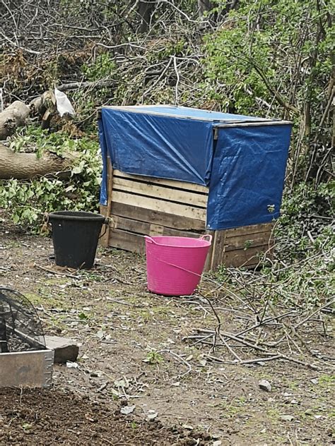 Rat Bedding Rcomposting