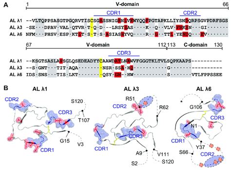 Sequence Alignment And Location Of The Mutational Positions In The