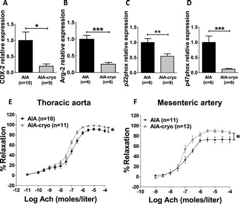 Effect Of Local Cryotherapy On Endothelial Dysfunction In Aia Rats Download Scientific Diagram