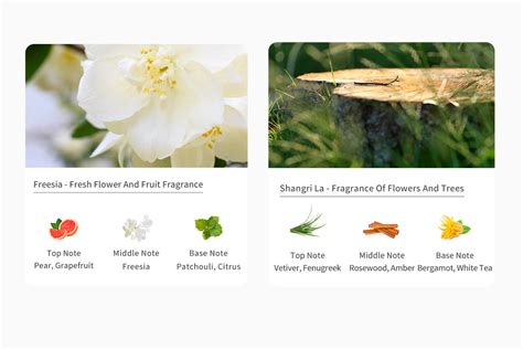 High End T Aroma Diffuser Create A Personalized Aromatic Experience With Four Aromatherapy