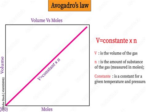 The Graphical Representation Of Avogadros Law With The Amount Of