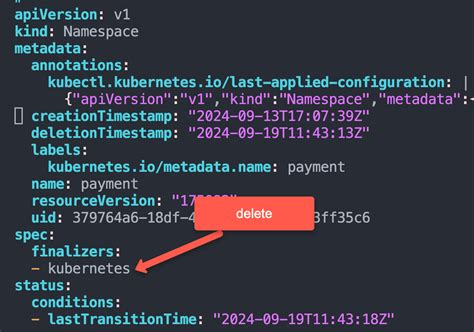 Kubernetes Namespaces Stuck In The Terminating State