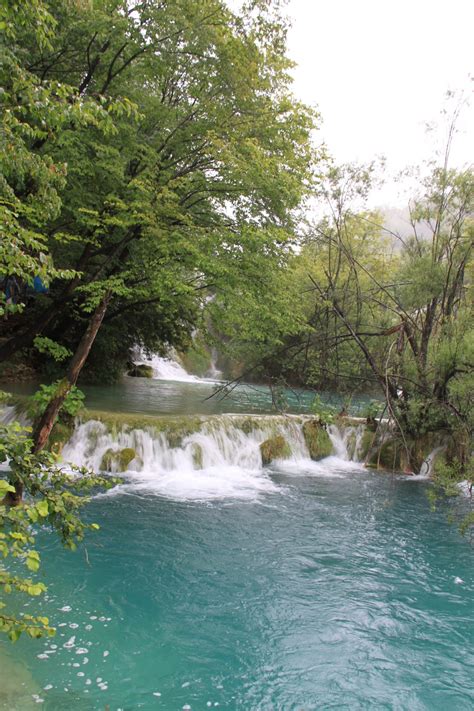 무료 이미지 나무 폭포 호수 강 못 흐름 빠른 물줄기 물 특징 2304x3456 179080 무료