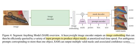 sam（2023） 分割万物 sam模型复杂度 csdn博客