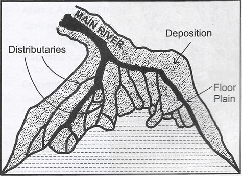 i draw a neat diagram to show the formation of a delta knowledgeboat