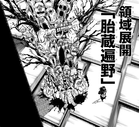 Womb Profusion Jujutsu Kaisen Wiki Fandom