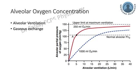 Ventilation Perfusion Ratio Physiological Dead Space And Physiological