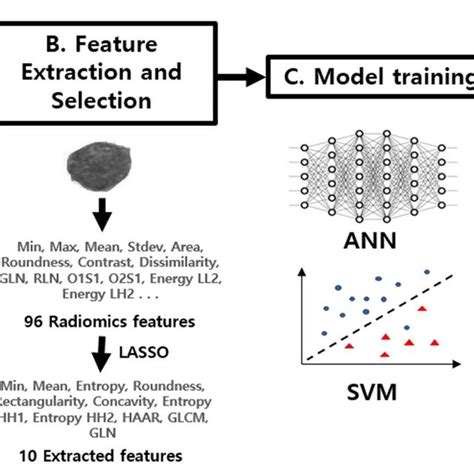 Diagram Of Overall Workflow Of Model Training And Validation Lasso