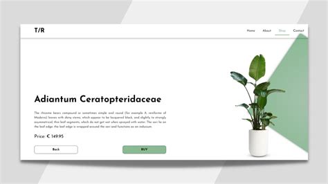 How To Create This Product Page With Elementor Custom Css Rotating Animation Elementor