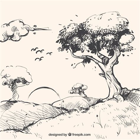 Imágenes De Dibujar Paisajes Descarga Gratuita En Freepik
