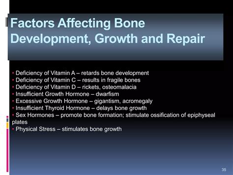 Introduction Of Bones Types Structure Ppt