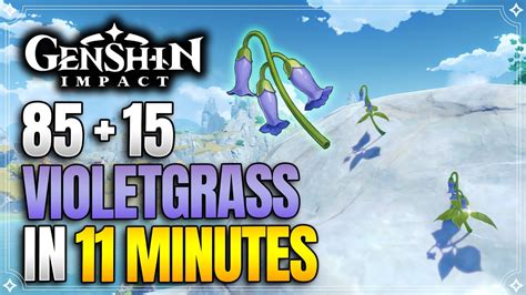Violetgrass Locations Fast And Efficient Farming Route Ascension