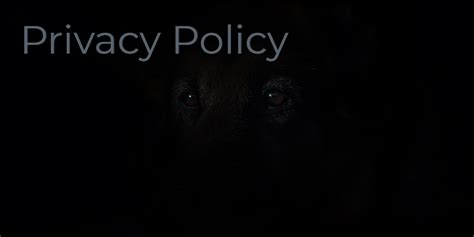 Privacy Policy Chris Waldron