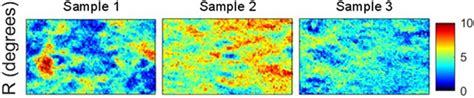 Retardance Map For The Analyzed Areas Of Three C Smc Ec Samples