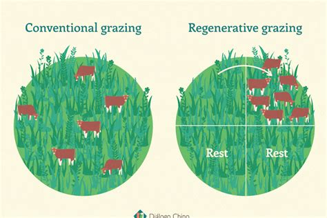 Regenerative Agriculture Vs Organic Farming Whats The Difference