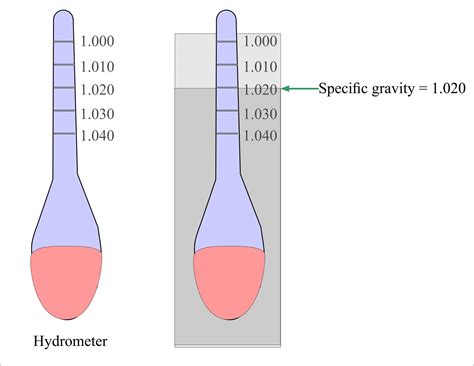 Urine Specific Gravity Examination Norm Result Interpretation