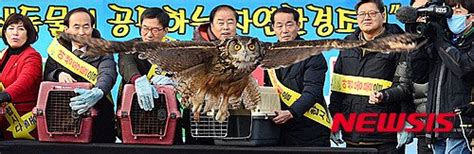 야생조류 방사 네이트 뉴스