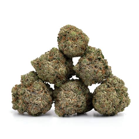 Grease Monkey Weed At Joseph Dudgeon Blog
