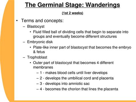Ppt Chapter 3 Powerpoint Presentation Free Download Id319162