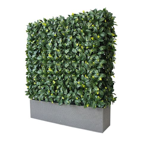 Hedge Planter Set 4ft Bum Outdoor Furniture Canada