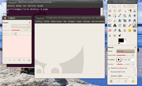 Ejecutar Un Programa Desde La Terminal De Linux Directorio