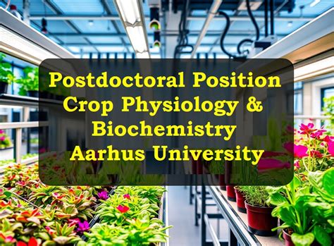 Postdoctoral Position In Crop Physiology And Biochemistry